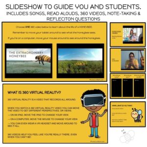 Honeybee Virtual Field Trip : vr2ltch